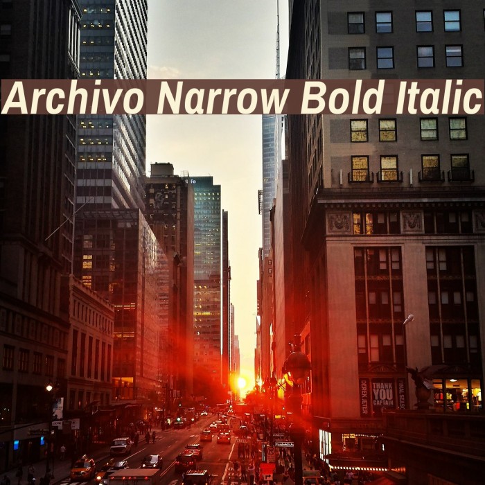 Archivo Narrow Bold Italic Font - FFonts.net