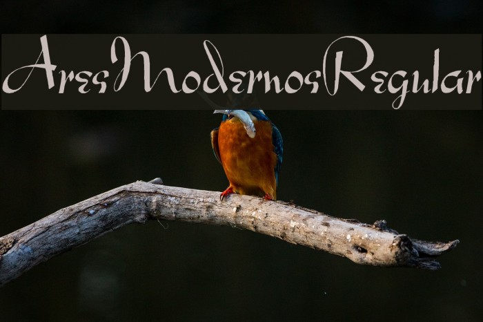 Ares Modernos Regular Font - FFonts.net