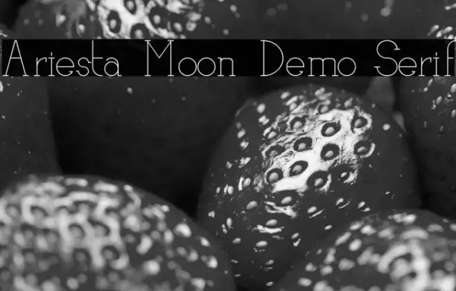 Ariesta Moon Demo Serif Font | Free Download (TTF/OTF) | FFo