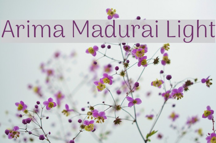 Arima Madurai Light Font - FFonts.net