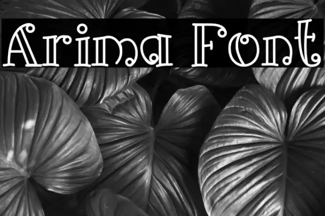 Arima Font | Free Download (TTF/OTF) | FFonts.net
