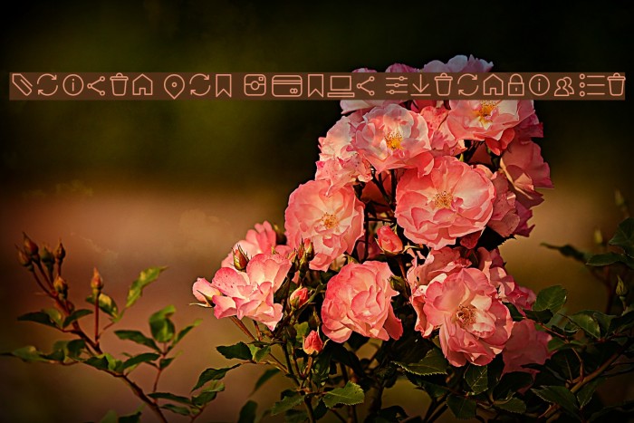 Arista Pro Icons ExtraLight Font - FFonts.net