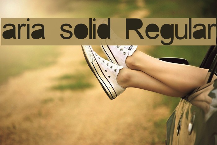 aria solid Regular Font - FFonts.net