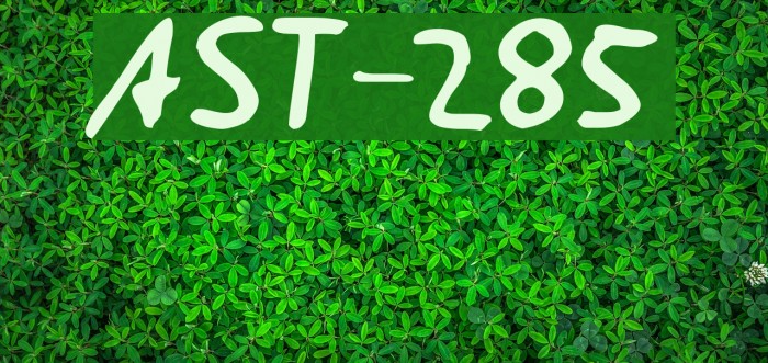AST-285 Font - FFonts.net