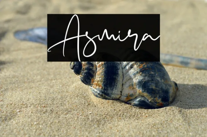Asmira Font | Free Download (TTF/OTF) | FFonts.net