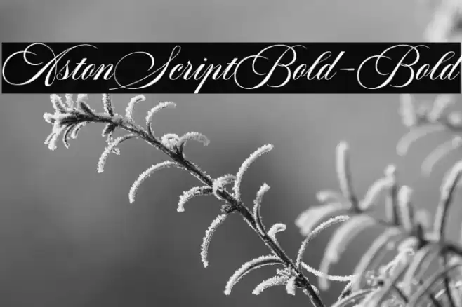 AstonScriptBold-Bold Font | Free Download (TTF/OTF) | FFonts