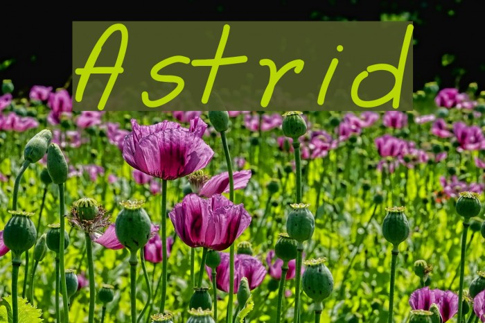 Astrid Font - FFonts.net