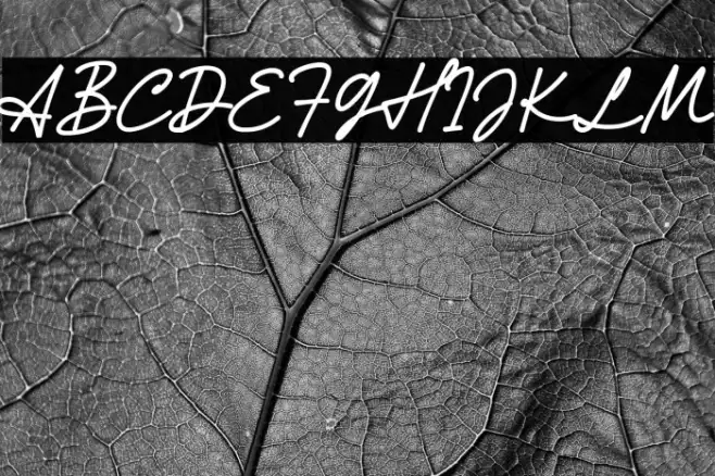 Athena Signature Font | Free Download (TTF/OTF) | FFonts.net