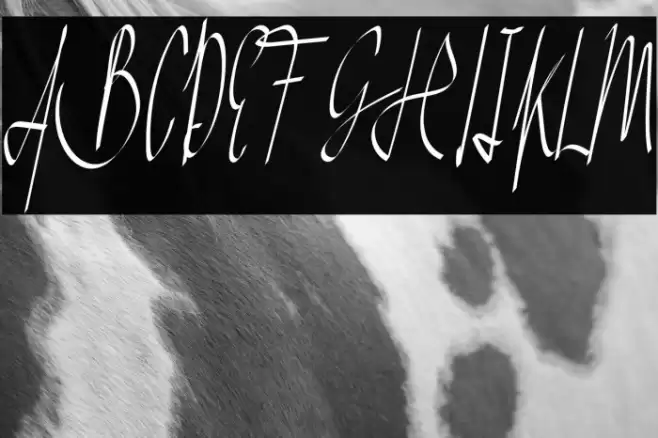 athens_free Font | Free Download (TTF/OTF) | FFonts.net