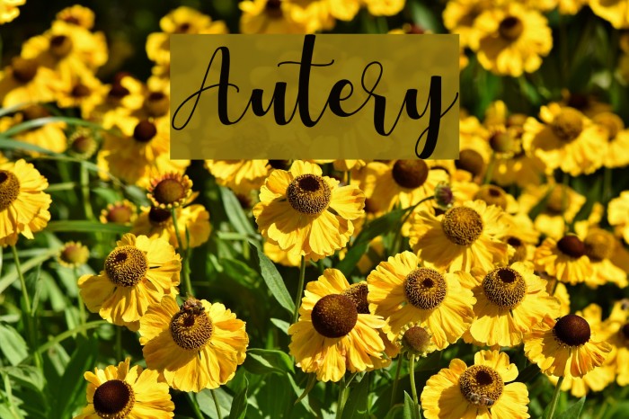Autery Font - FFonts.net