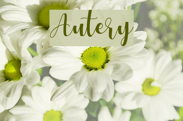 Autery Font - FFonts.net