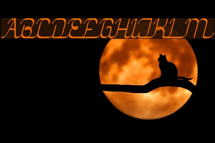 Authentic Love-Light Font - FFonts.net