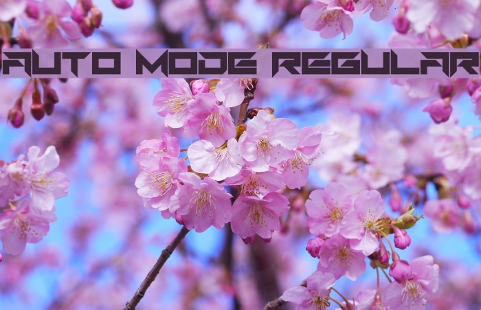 Auto Mode Regular Font - FFonts.net