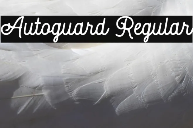 Autoguard Regular Font | Free Download (TTF/OTF) | FFonts.net