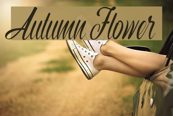 Autumn Flower Font - FFonts.net