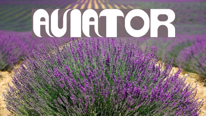 AVIATOR Font - FFonts.net