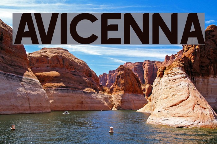 AVICENNA Font - FFonts.net