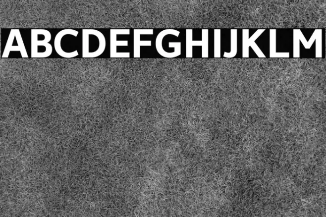 Avancement 2020 Bold Font | Free Download (TTF/OTF) | FFonts.net