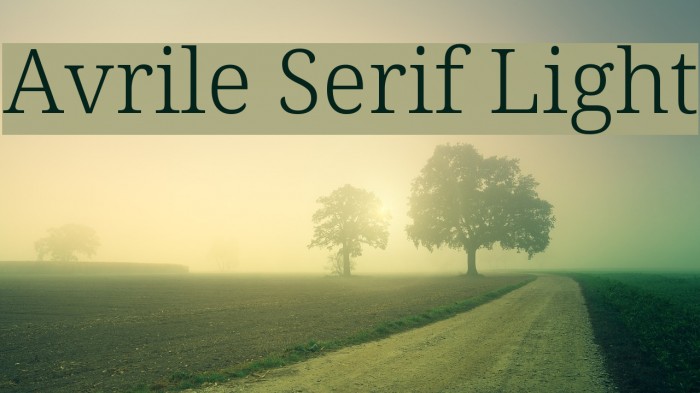 Avrile Serif Light Font - FFonts.net