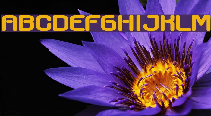 Axaxax Font - FFonts.net