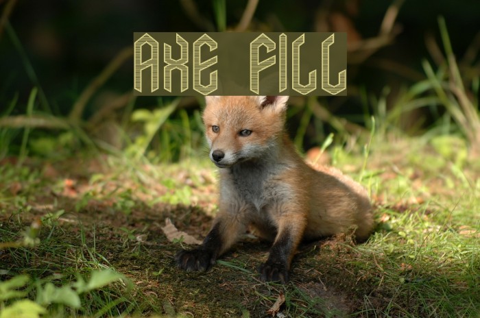 Axe Fill Font - FFonts.net