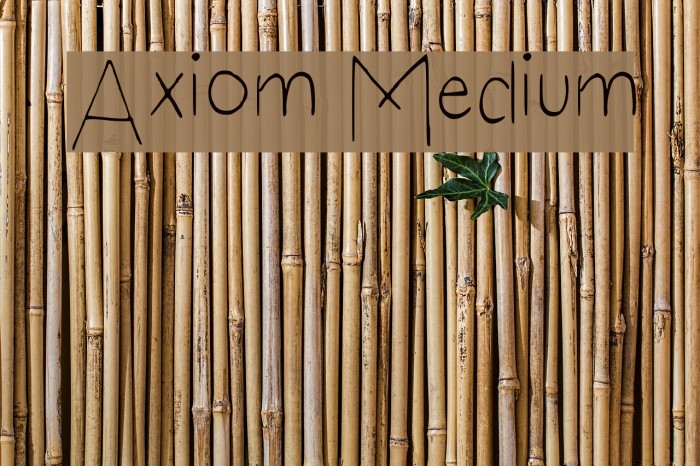 Axiom Medium Font - FFonts.net