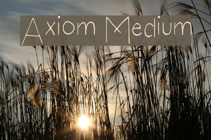 Axiom Medium Font - FFonts.net