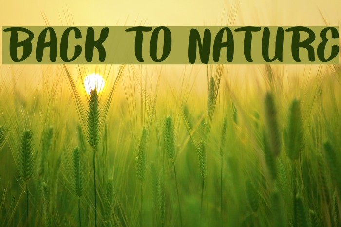 BACK TO NATURE Font - FFonts.net