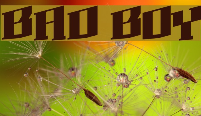 BAD BOY Font - FFonts.net