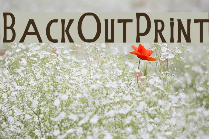 BackOutPrint Font - FFonts.net