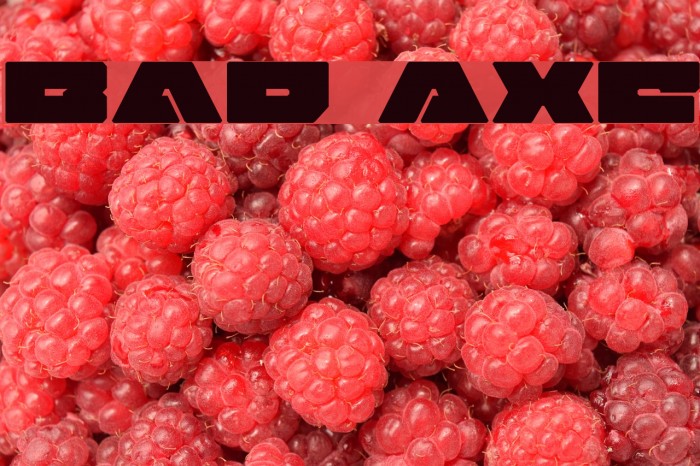 Bad Axe Font - FFonts.net