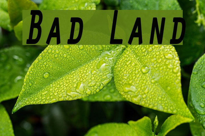 Bad Land Font - FFonts.net