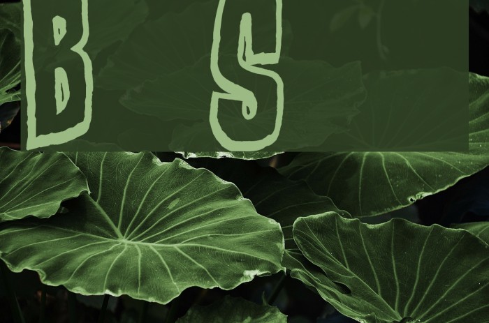 Bad Stories Font - FFonts.net