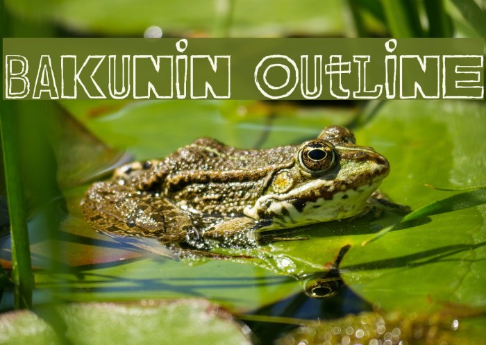 Bakunin Outline Font - FFonts.net