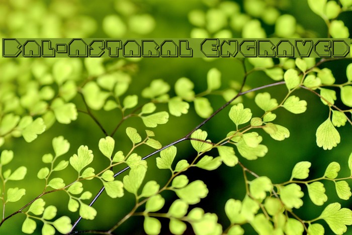 Bal-Astaral Engraved Font - FFonts.net