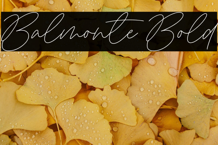 Balmonte Bold 字体-FFonts.net