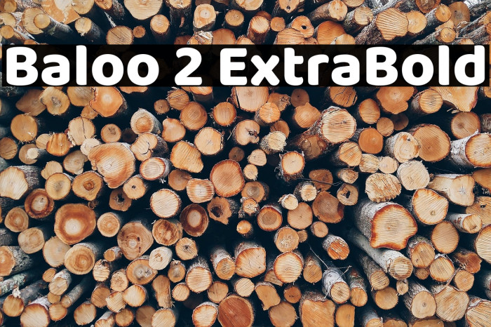 Baloo 2 ExtraBold Font - FFonts.net