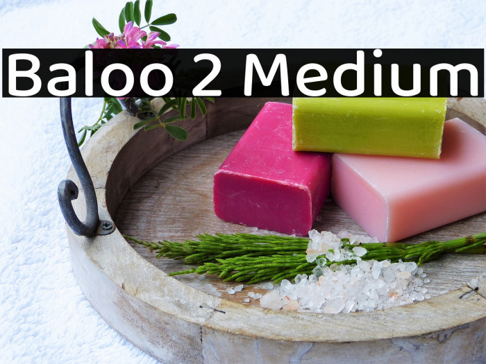 Baloo 2 Medium Font - FFonts.net
