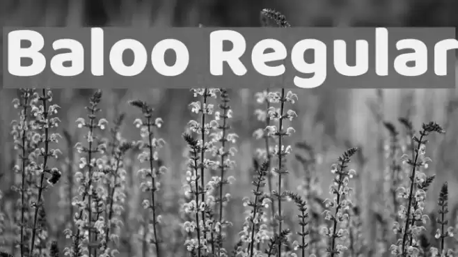 Baloo Regular Font - Free Download (TTF/OTF) | FFonts.net