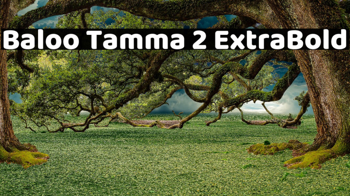 Baloo Tamma 2 ExtraBold Font - FFonts.net