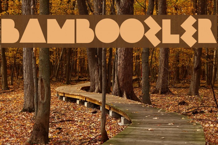 Bamboozler Font - FFonts.net