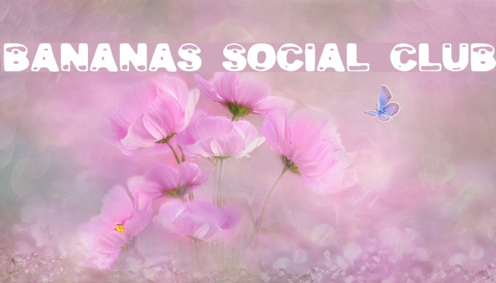 Bananas Social Club Font - FFonts.net