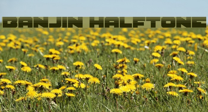 Banjin Halftone Font - FFonts.net
