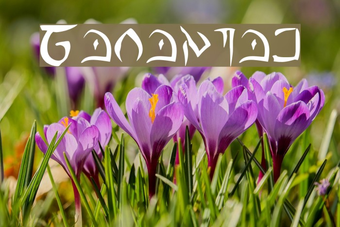 Barazhad Font - FFonts.net