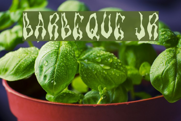 Barbeque Jr Font - FFonts.net