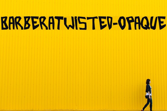 BarberaTwisted-Opaque Font - FFonts.net