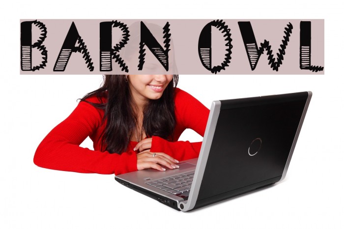 Barn Owl Font - FFonts.net