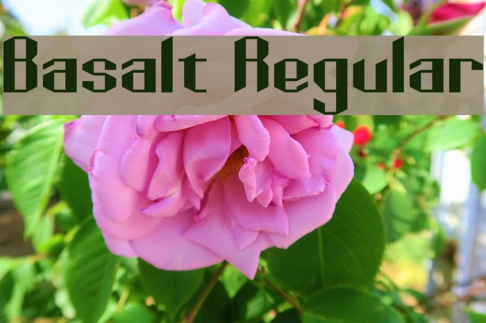 Basalt Regular Font - FFonts.net