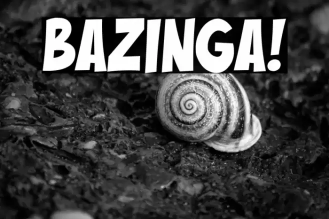 Bazinga! Font | Free Download (TTF/OTF) | FFonts.net
