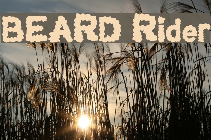 BEARD Rider Font - FFonts.net